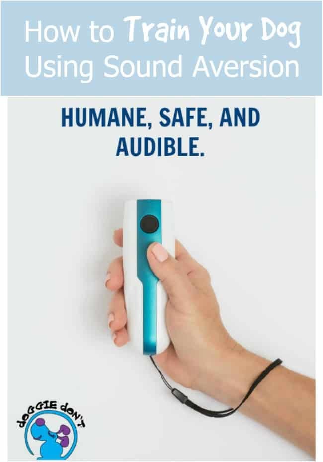 How to Train Your Dog Using Sound Aversion